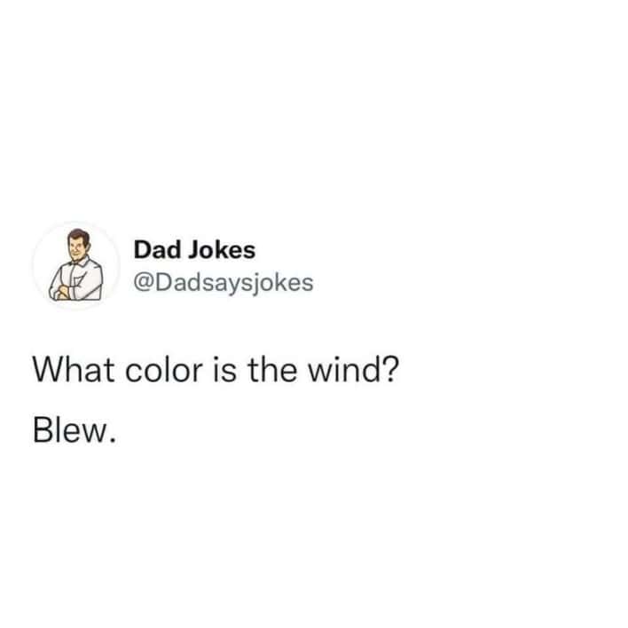 40 Funny Pun Memes Your Dad Will Think Are Pun-derful