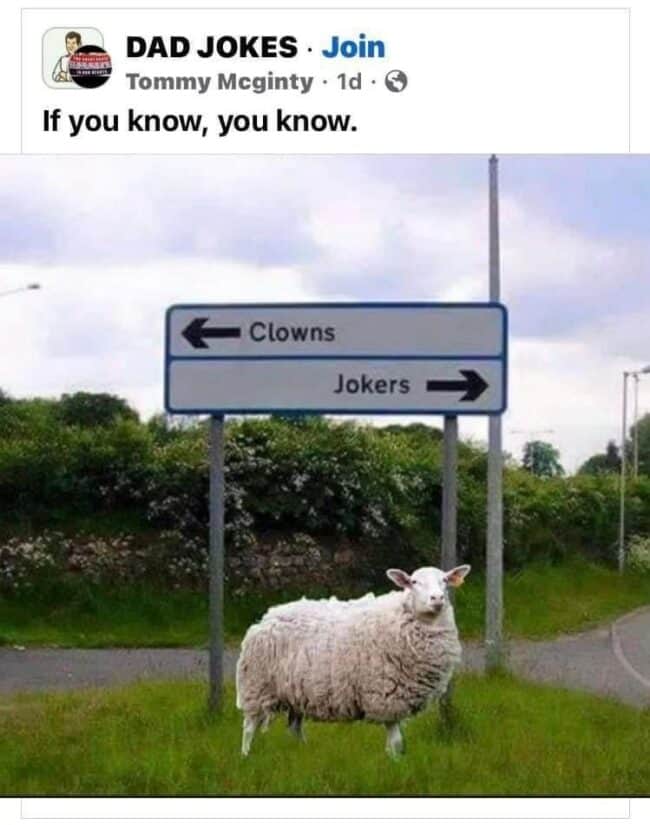 40 Funny Pun Memes Your Dad Will Think Are Pun-derful