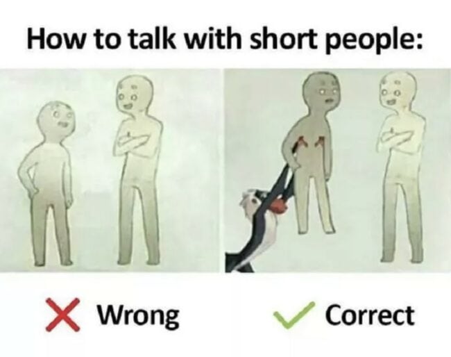 34 Short People Memes For Our Height Challenged Friends Way Down There