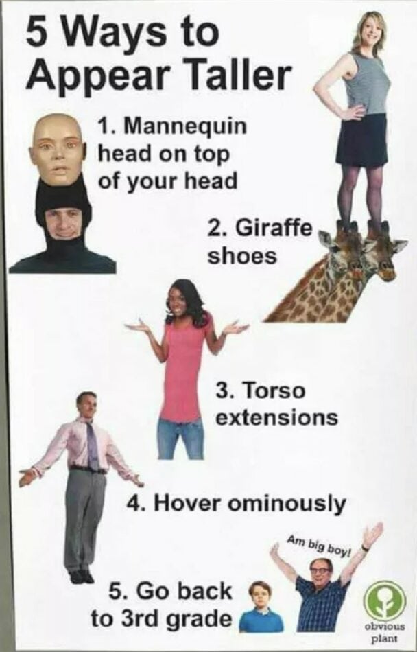 34 Short People Memes For Our Height Challenged Friends Way Down There