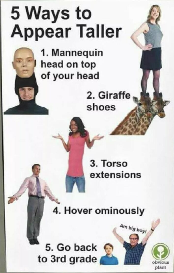 34 Short People Memes For Our Height Challenged Friends Way Down There