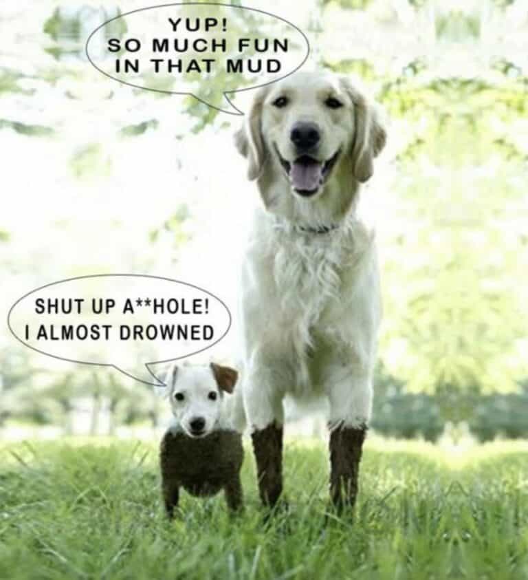 34 Short People Memes For Our Height Challenged Friends Way Down There