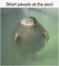 34 Short People Memes For Our Height Challenged Friends Way Down There