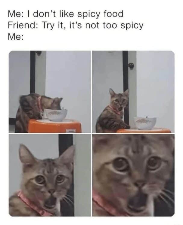 30 Spicy Food Memes For People Who Carry A Bottle Of Hot Sauce In Their ...