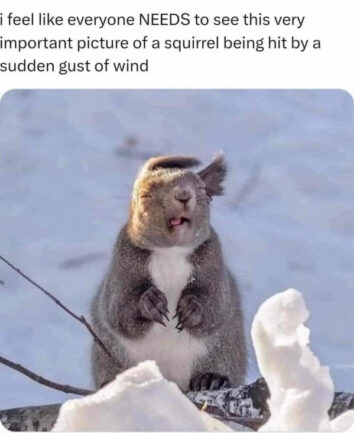 40 Wholesome Memes And Heartwarming Posts Brightening Our Week (July 10 ...