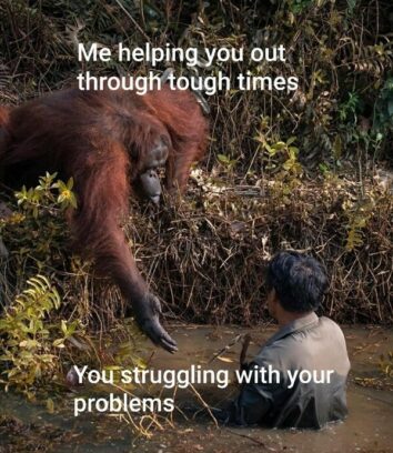 50 Wholesome Memes And Heartwarming Posts Brightening Our Week (July 19 ...