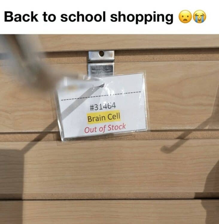 35 Back To School Memes For Teachers And Students Dreading The End Of ...