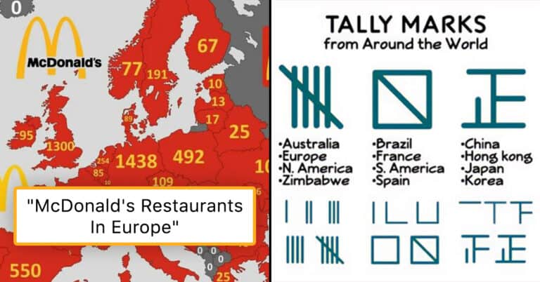 40 Cool Guides, Charts, And Graphs That Make Learning Fun Again