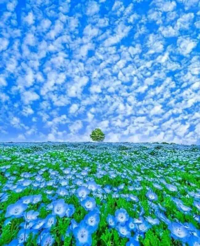 35 Strangest "Liminal Spaces" That Left Us With An Unsettling Feeling ...