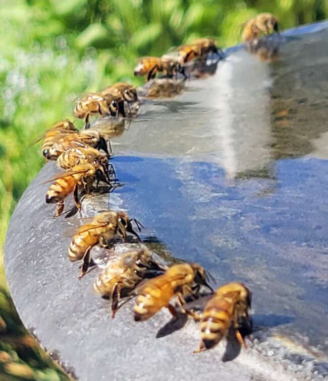 40 Mind-Melting Pictures Of The Extreme Heatwaves This Summer