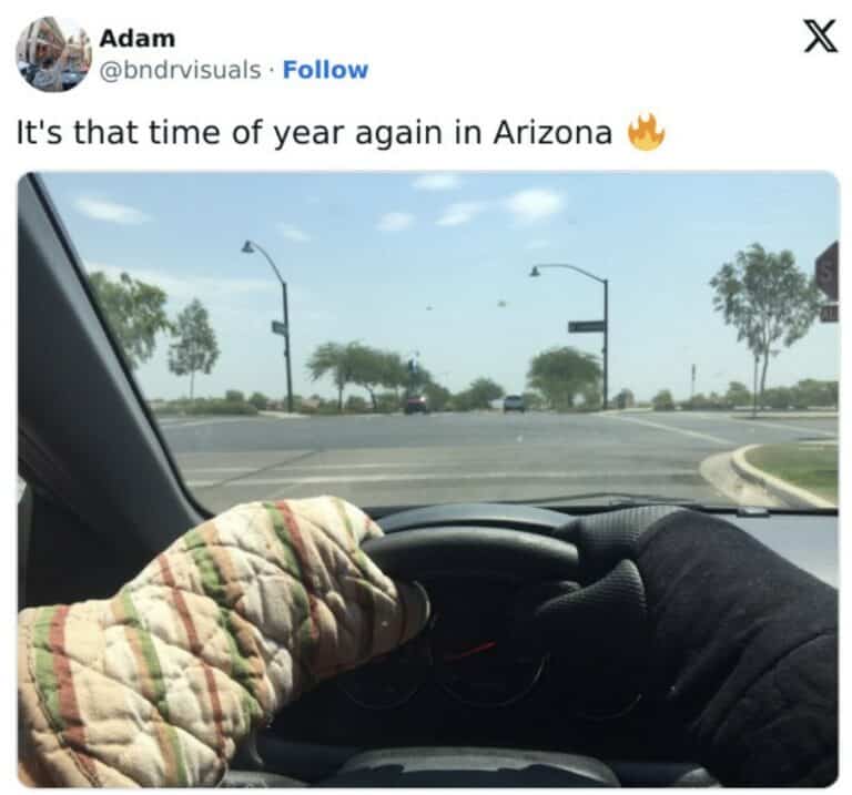 40 Mind-Melting Pictures Of The Extreme Heatwaves This Summer