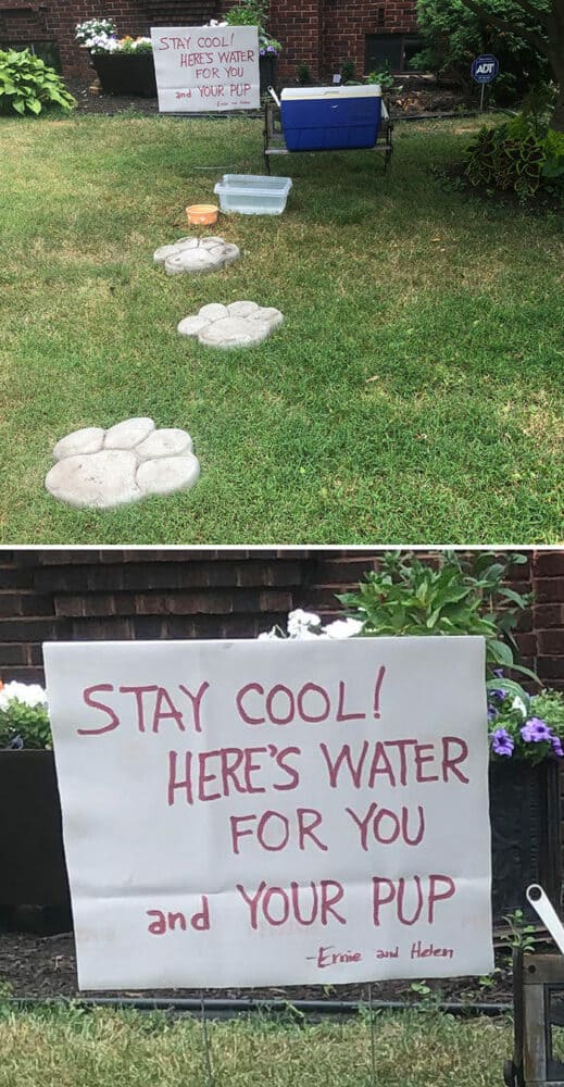 40 Mind-Melting Pictures Of The Extreme Heatwaves This Summer