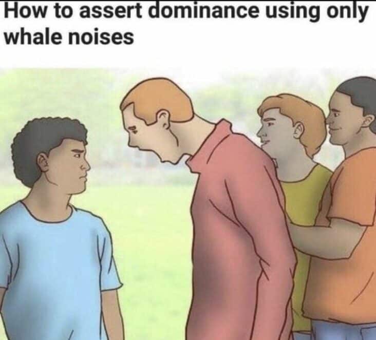 45 Hilarious WikiHow Illustrations That Either Lack Context Or Radiate ...