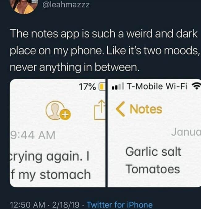 40 Notes App Memes For Everyone Writing In There Instead Of Going To ...