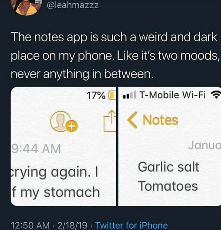 40 Notes App Memes For Everyone Writing In There Instead Of Going To ...