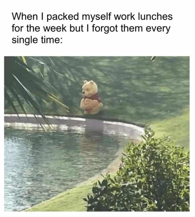 30 Hungry Memes For Shaky Girls Who Are Always Forgetting To Eat