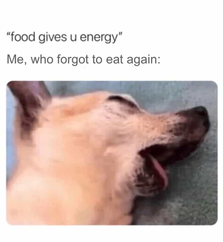 30 Hungry Memes For Shaky Girls Who Are Always Forgetting To Eat