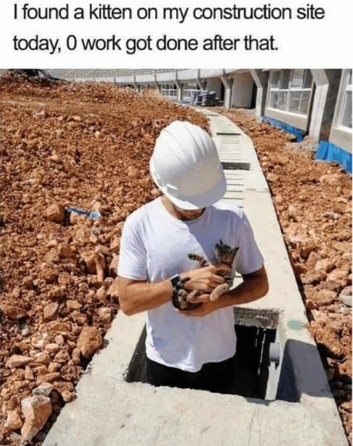 45 Funny Construction Worker Memes That'll Have You Cracking Up On Site ...