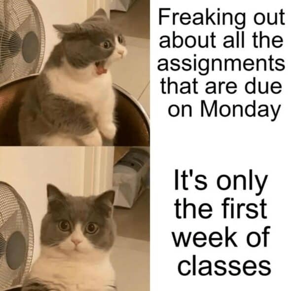 35 Back To School Memes For Teachers And Students Dreading The End Of ...