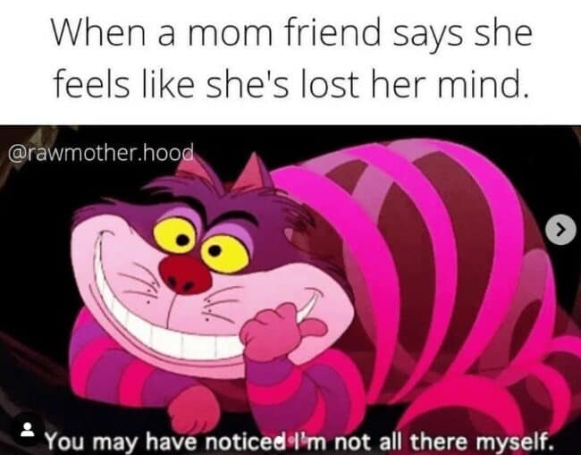 35 Funny Motherhood Memes For Moms Who Can't Hear "Mom!" One More Time