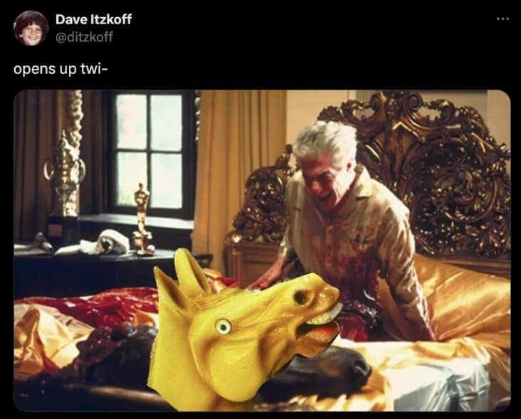 32 Funniest Horse Photobombing Memes From That Florence Pugh Andrew ...