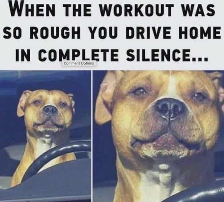 45 Funniest Workout Memes Pushing Maximum Gains This Week (August 5, 2024)