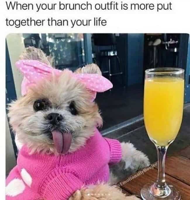 35 Funny Brunch Memes For Foodies Who Love Paying An Extra $20 For ...