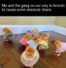 35 Funny Brunch Memes For Foodies Who Love Paying An Extra $20 For ...