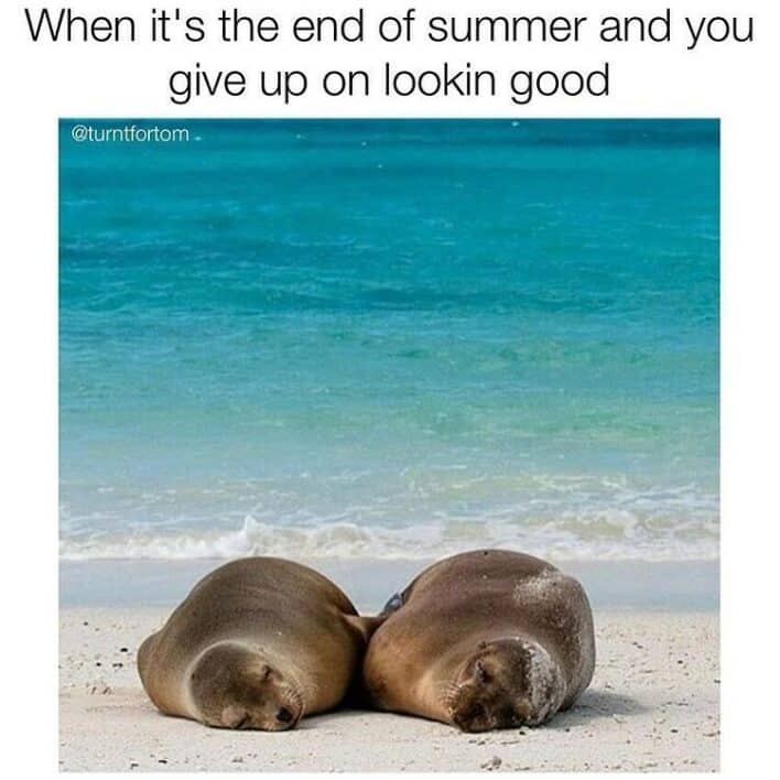 40 (Almost) End Of Summer Memes For Ladies Who Are Ready To Start ...
