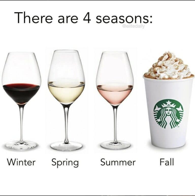 40 (Almost) End Of Summer Memes For Ladies Who Are Ready To Start ...
