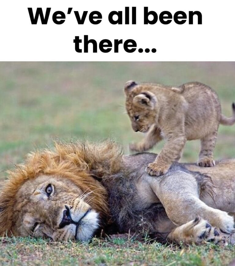 50 Funny Fatherhood Memes For Dads Out There Raising The Next Generation