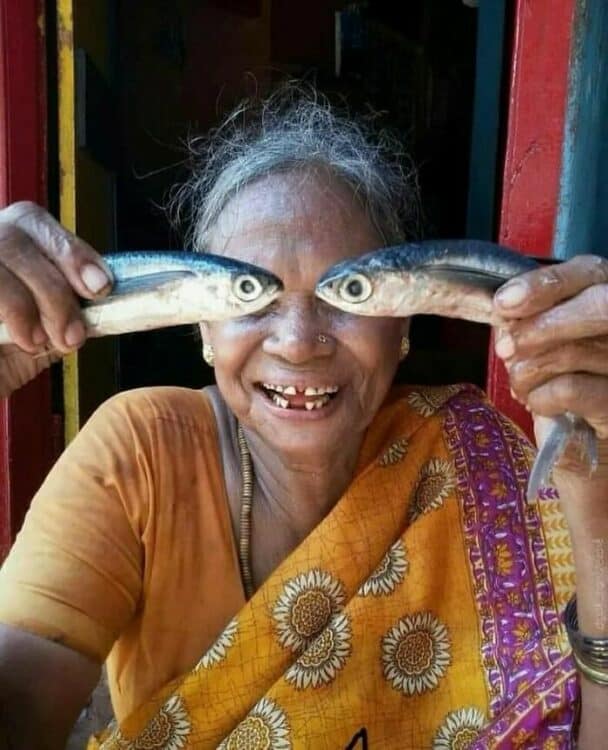 50 Funny Pictures From India Showing Just How Fun And Bizarre A Place It Is