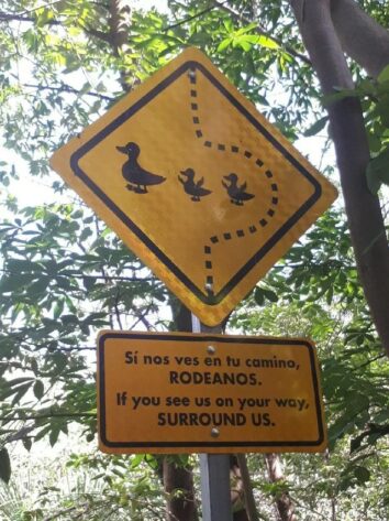 45 Funny Signs "Lost In Translation" While Attempting Messages In English