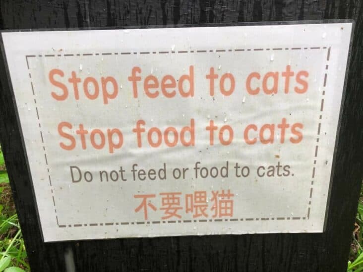 45 Funny Signs "Lost In Translation" While Attempting Messages In English
