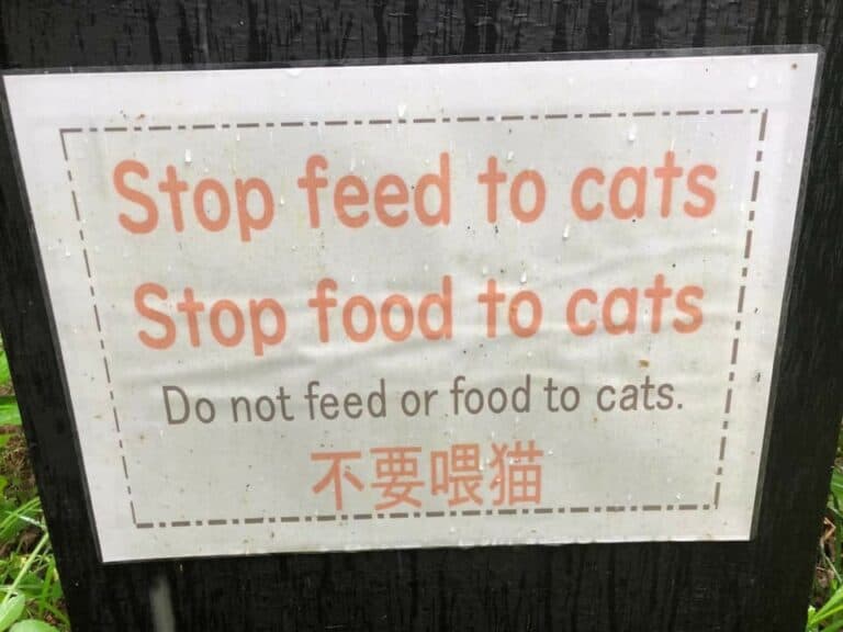45 Funny Signs "Lost In Translation" While Attempting Messages In English