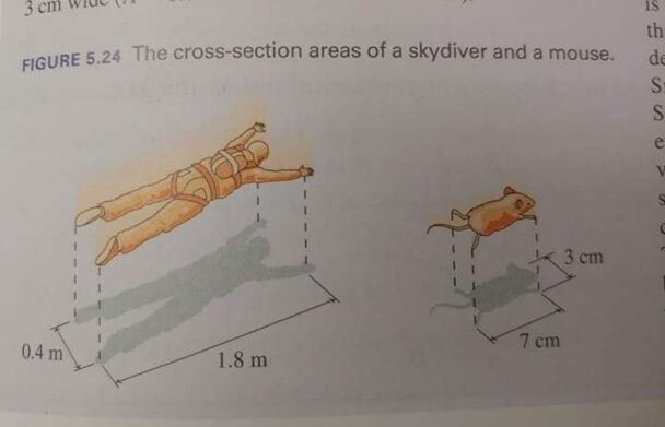 45 Funny Out Of Context Textbook Diagrams You'll Have To Work Out For ...