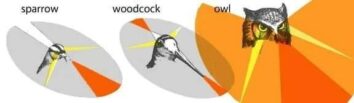 45 Funny Out Of Context Textbook Diagrams You'll Have To Work Out For ...