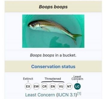 45 Funny Out Of Context Textbook Diagrams You'll Have To Work Out For ...