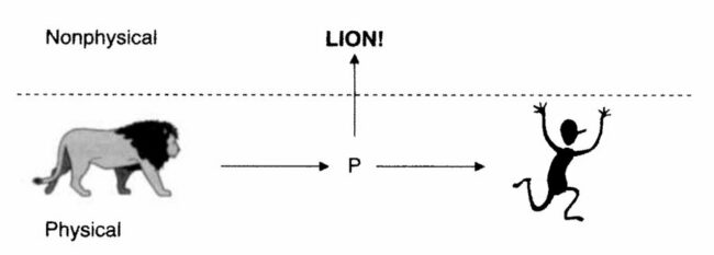 45 Funny Out Of Context Textbook Diagrams You'll Have To Work Out For ...