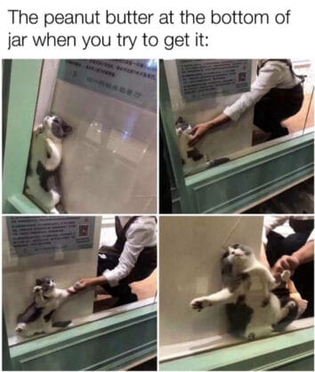 30+ Peanut Butter Memes That Are Smooth, Chunky, And Hilarious