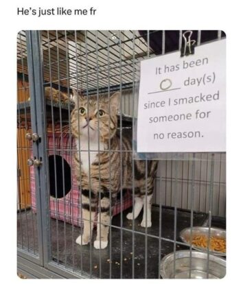 40 Relatable Memes That Hit Hilariously Close To Home This Week (August ...