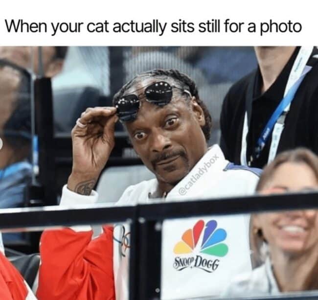 35 Snoop Dogg Memes For Everyone Who Thought The Olympics Need More Of Him