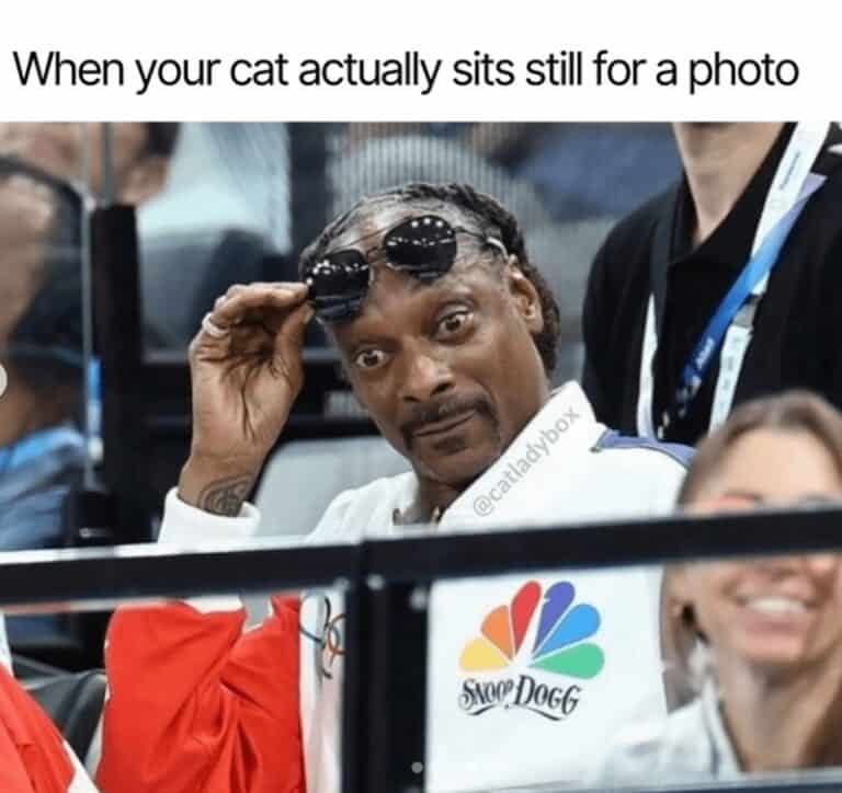 35 Snoop Dogg Memes For Everyone Who Thought The Olympics Need More Of Him