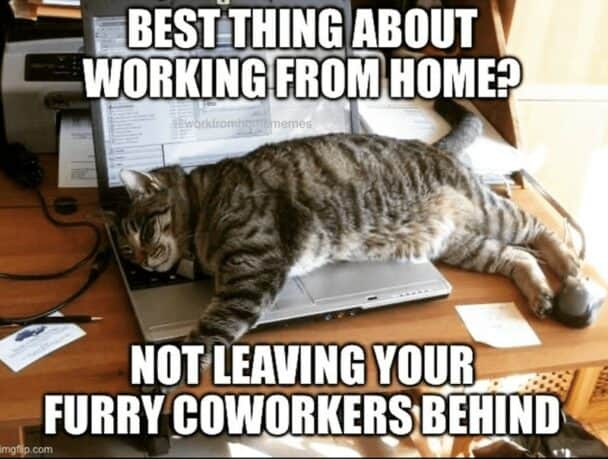 35 Funny WFH Memes You Can Read In Your Pajamas All Day