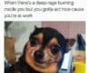 45+ Funny Work Memes To Keep You Laughing Through The Workday (August ...