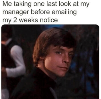 45+ Funny Work Memes To Keep You Laughing Through The Workday (August ...
