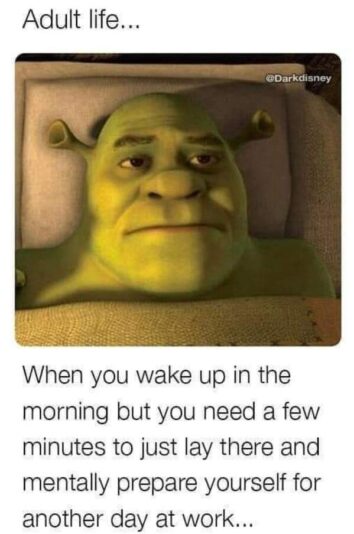 40 Funny Work Memes To Keep Underpaid And Under-Appreciated Employees ...