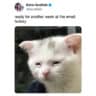 40 Funny Work Memes To Keep Underpaid And Under-Appreciated Employees ...