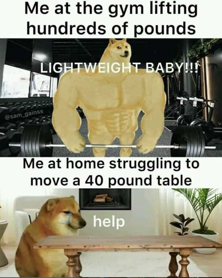 45 Funniest Workout Memes Pushing Maximum Gains This Week (August 19, 2024)