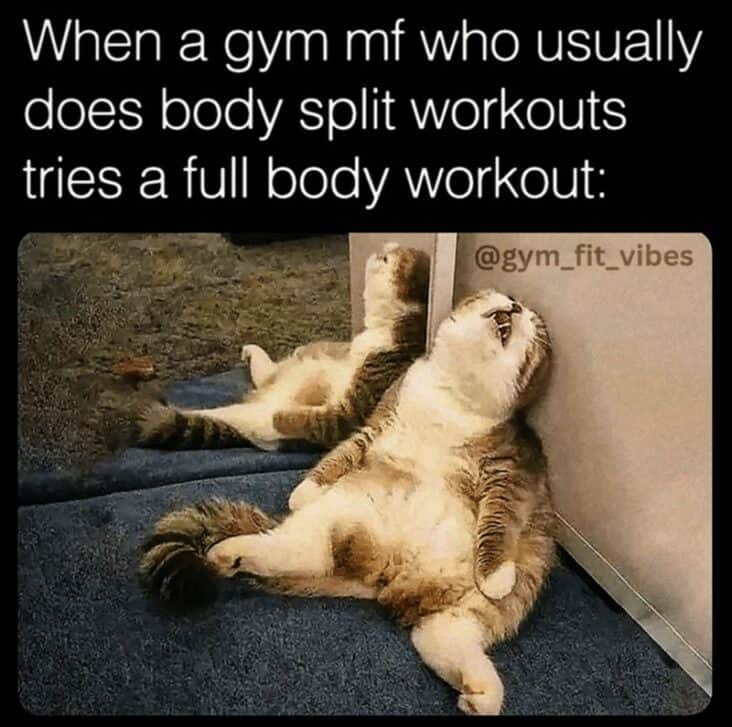 45 Funniest Workout Memes Pushing Maximum Gains This Week (August 19, 2024)